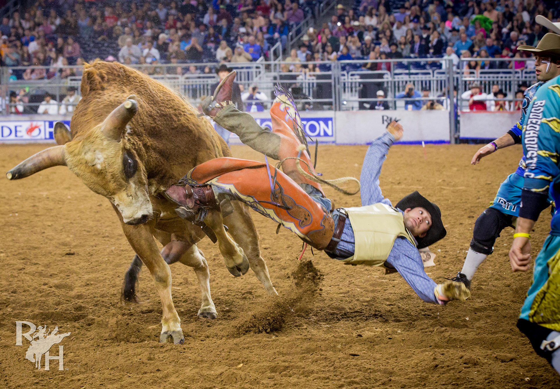 Houston Livestock Show and Rodeoï¿½ - Technical Difficulties